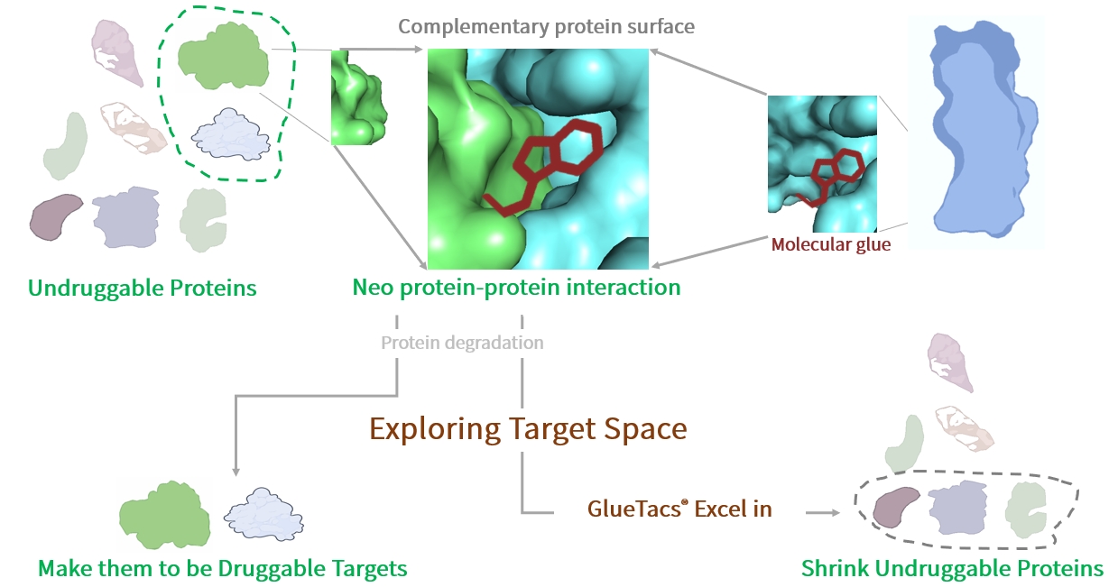 2. How Do We Explore Next Generation Molecular Glues？