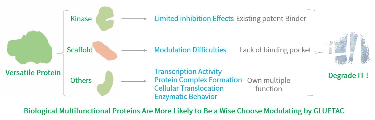 2. What Makes Our GLUETAC Design More Precise and Efficacious?