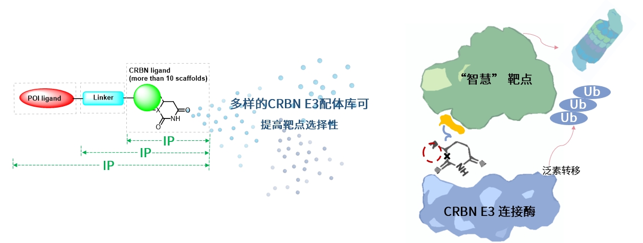3. GLUETACs药物设计平台优势